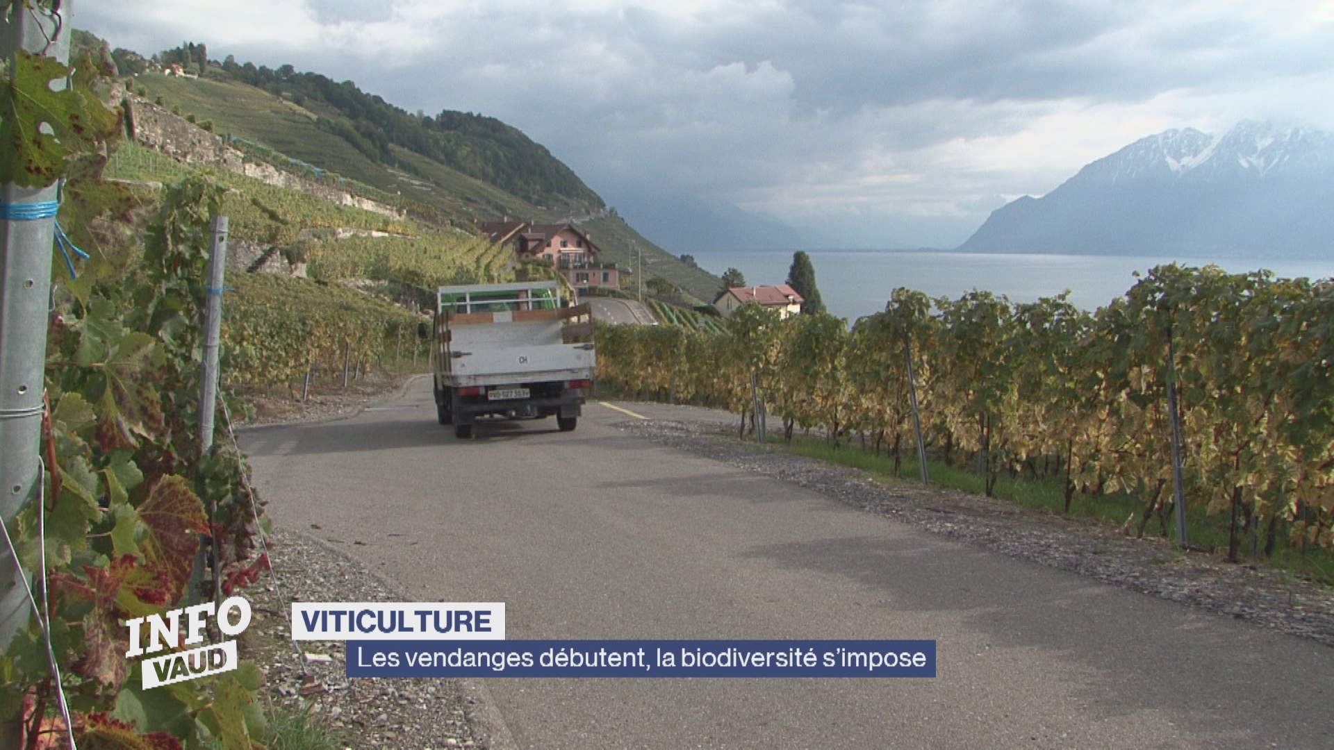 Journal du 9 septembre 2025 - Info Vaud - La Télé